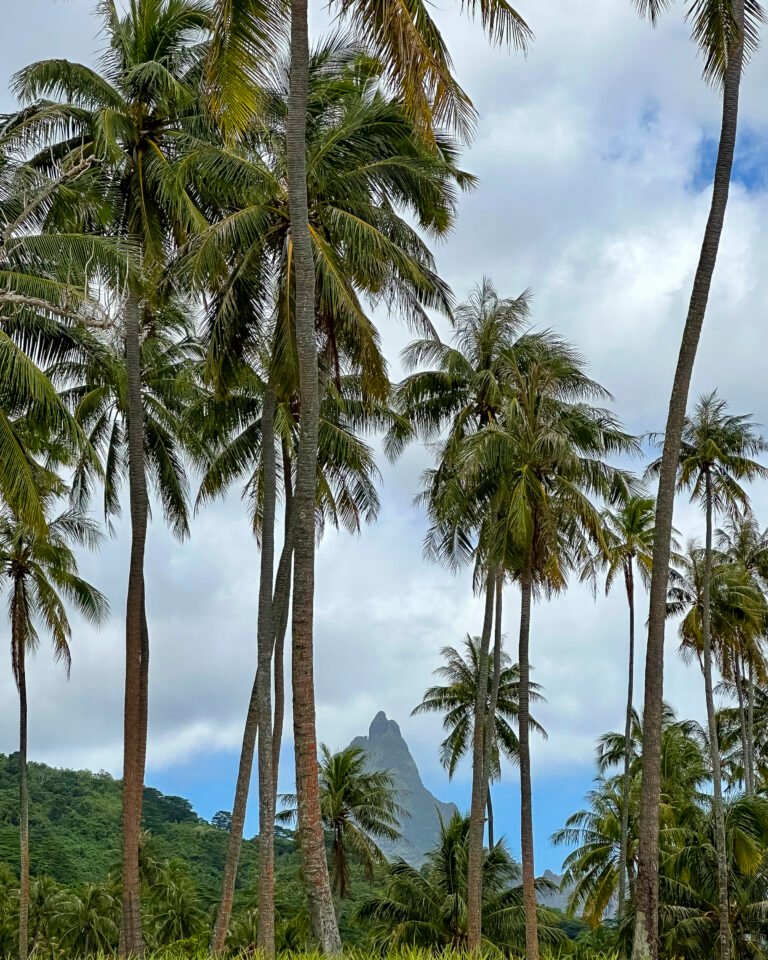 20 Photos to Inspire You to Visit Moorea – Hi From Ashley