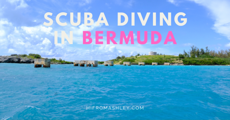 Scuba Diving in Bermuda – Hi From Ashley